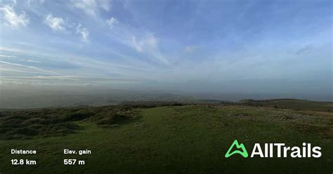 West Quantoxhead Holford Circular Somerset England 29 Reviews