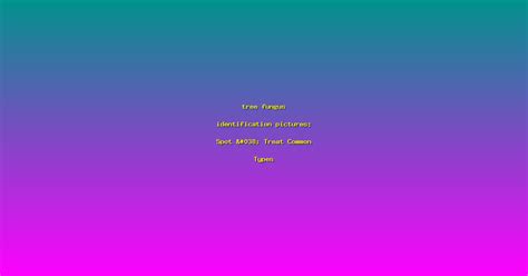 Tree Fungus Identification Pictures Spot And Treat Common Types