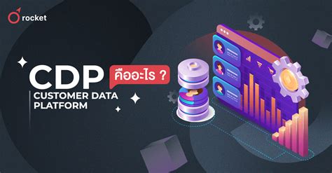Cdp คืออะไร มาทำความรู้จักกับระบบ Martech ที่ธุรกิจของคุณต้องมี