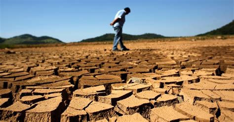 La Sexta Extinción Masiva
