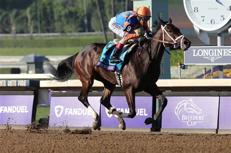 Breeders Cup Races 2024 Results Letta Claribel