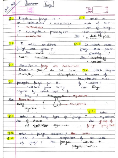 Classroom Notes Kingdom Fungi Pdf