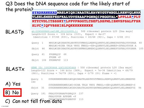 Determine Orf And Blastp Ppt Download