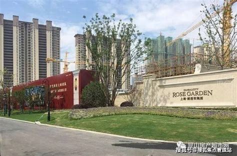 2021花桥浦西玫瑰园楼盘详情——浦西玫瑰园官方网站浦西玫瑰园千万别错过了 搜狐大视野 搜狐新闻