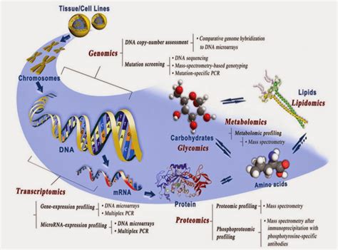 Schematic Representation Of Omics Technologies Their Corresponding