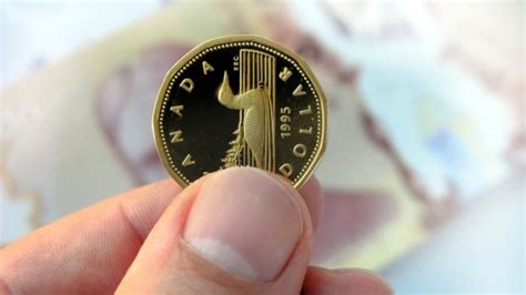 Nb Minimum Wage Now Highest In Atlantic Canada Businesses Weigh In