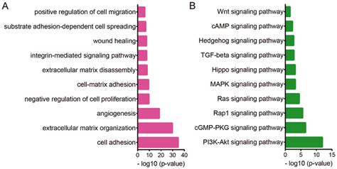 Bioinformatics Analysis For Col8a1 In Gc A Biological Processes Download Scientific Diagram
