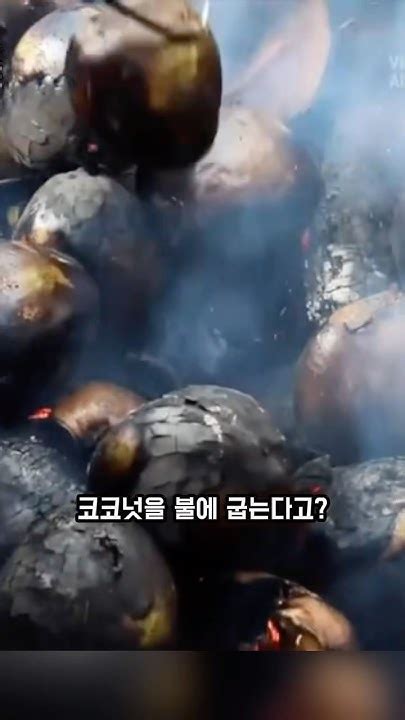 구운 코코넛 먹어 본 사람 맛있겠다 Youtube