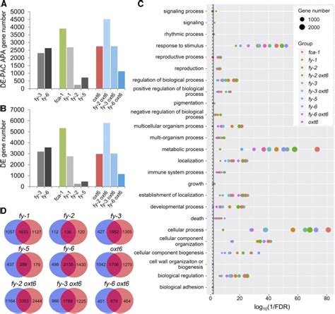Transcriptome Analyses Of Fy Mutants Reveal Its Role In Mrna