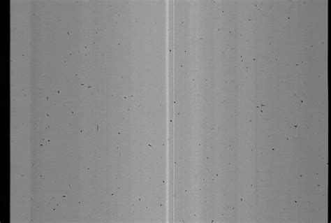 Imaging Billions Of Plankton AI Is Transforming Oceanography