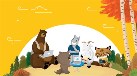 Salesforce Ecosystem Job Skill Trends Salesforce