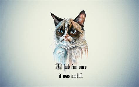 Grumpy Cat Hd Wallpapers