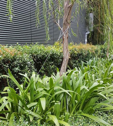 เหลกคำยนตนไม KEMREX ฐานรากเขมเหลก เหลกคำยนตนไม KEMREX ฐานรากเขมเหลก