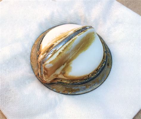 Burner Control Knob Upgrade Desiree S O Keefe Merritt Stove