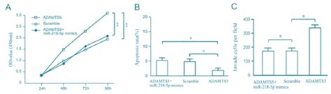 Mir 218 5p Regulates The Proliferation Apoptosis And Migration Of