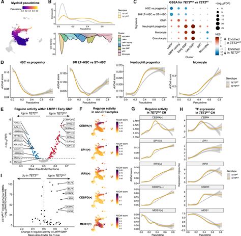 Selective Advantage Of Mutant Stem Cells In Human Clonal Hematopoiesis Is Associated With