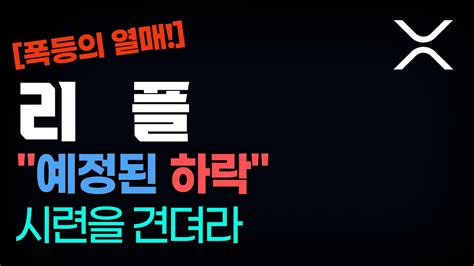 폭등의 열매 리플의 예정된 하락 시련을 견뎌라 리플 리플전망 리플분석 Youtube