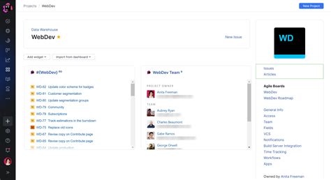 Project Overviews Youtrack Server Documentation