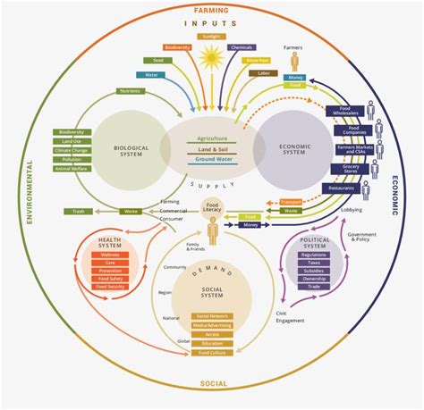 Systems Mapping For Clarity System Map Systems Thinking Data Visualization Design