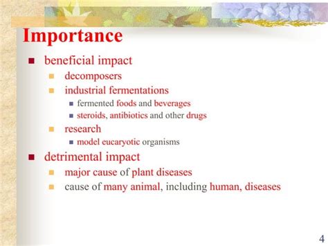 1 Introduction To Mycology And Classification Ppt