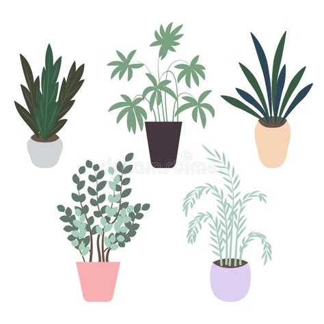 盆花 家畜 一组可爱的卡通植物 向量例证 插画 包括有 徒手画 动画片 平面 查出 柔和 193342503