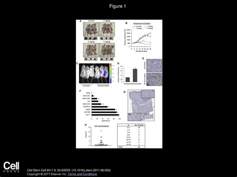 Volume 9 Issue 1 Pages July 2011 Ppt Download