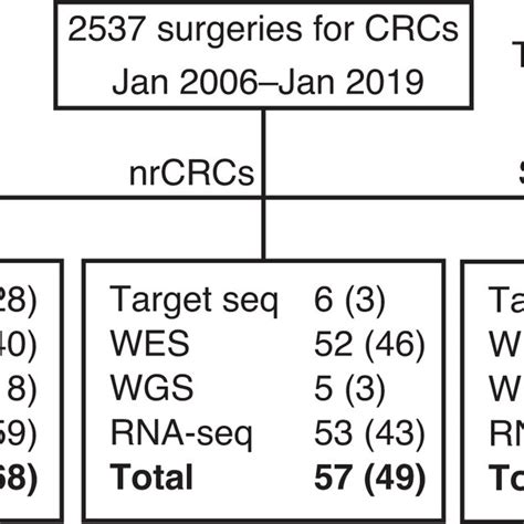 Clonal Analysis Of Metachronous And Synchronous Tumors Metachronous