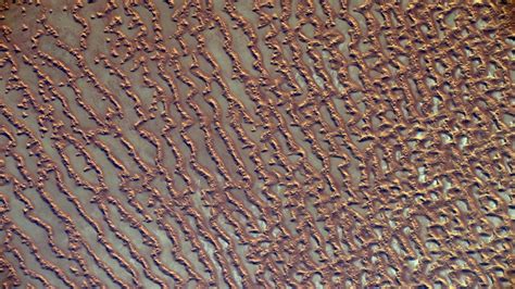 Pictures Of Terre Thomas