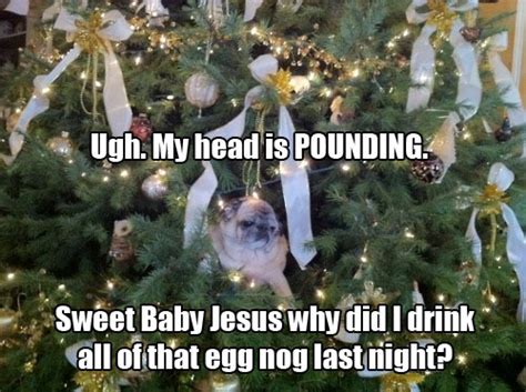 Happy Festivus Everyone Xnxx Adult Forum