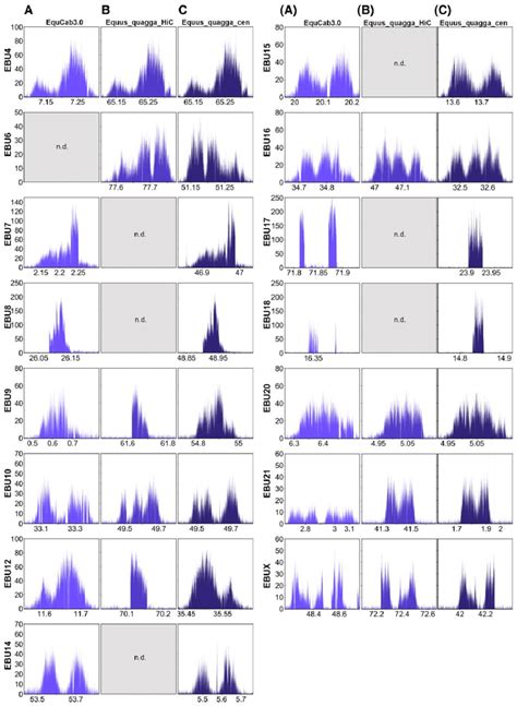 Satellite Free Centromeres In Burchells Zebra Chip Seq Reads From Download Scientific Diagram