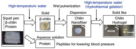 Chitin Purification And Preparation Of Chitin Materials Using Only Water