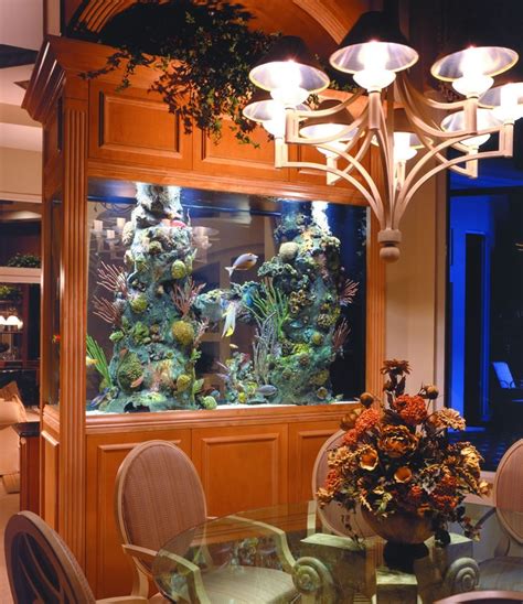Aquariums Different Types Of Aquariums