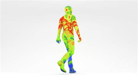Human Thermogram 1 By Science Photo Library