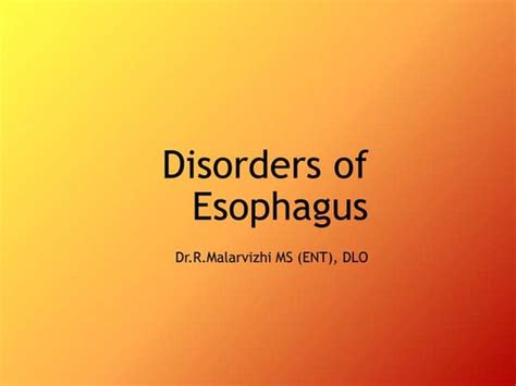 Anatomy And Physiology Of Esophagus Ppt