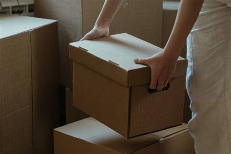 Data Migration In Sap Landscapes Ibsolution