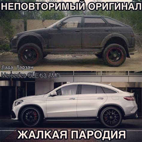 Тазы рулят | Пикабу