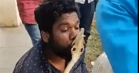 பாம்பை மீட்டு முத்தமிட முயன்ற நபர் நொடியில் தலையைத் திருப்பி கடித்த