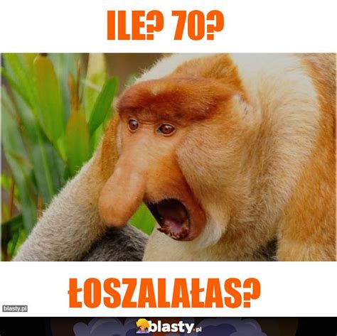 Ile 70 memy gify i śmieszne obrazki facebook tapety demotywatory