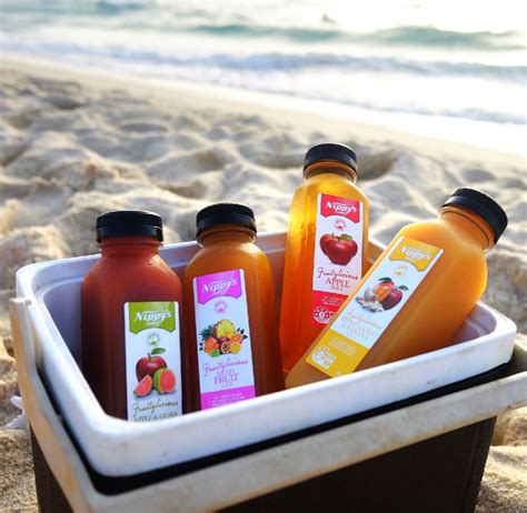 Nippys Fruitylicious Juice Long Life 350ml Tavolino Food And