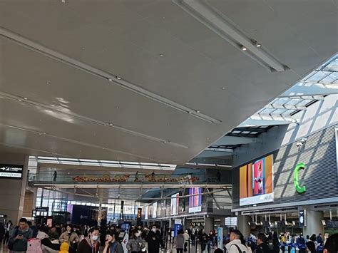 上海两大机场春运客流预计1293万人次基本恢复至2019年同期水平 浦江头条 澎湃新闻 The Paper