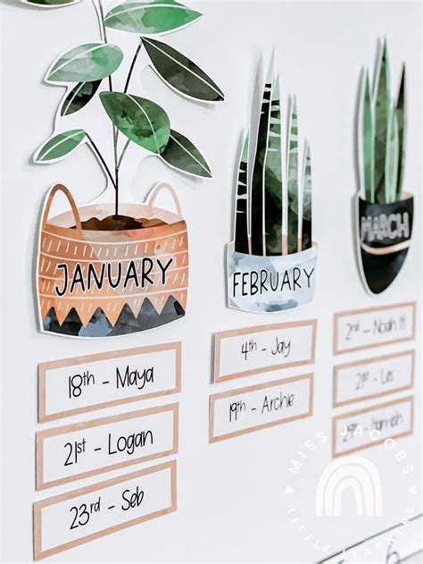 Modern Boho Plants Birthday Display Rustic Boho Classroom Decor Ed