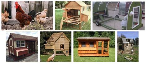 Chicken Coops The Best And Most Beautiful Types Of Chicken Coop FOR SALE F
