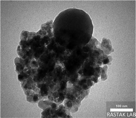 Transmission Electron Microscopy Image Of Fe3o4 Mcm‐41 Cop Au Download Scientific Diagram