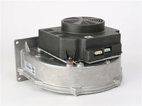 Raypak 013196f Assemblies In Stock On Sale