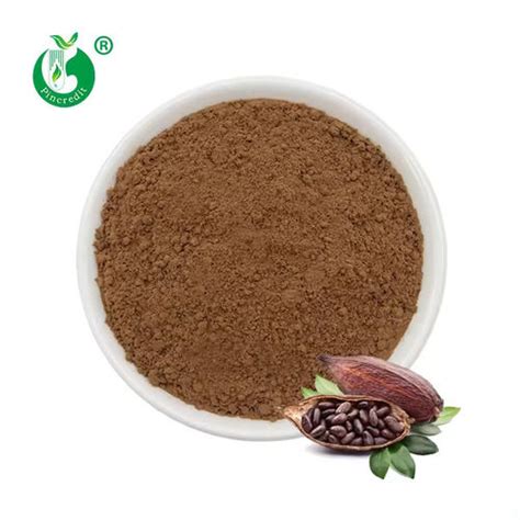 Alkalized Cocoa Powder 10 12 La10 9000 07 1 At Best Price In Kuching
