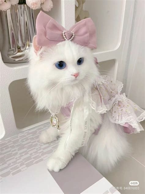 Jaem Bot 🩷 On Twitter Princess 🎀