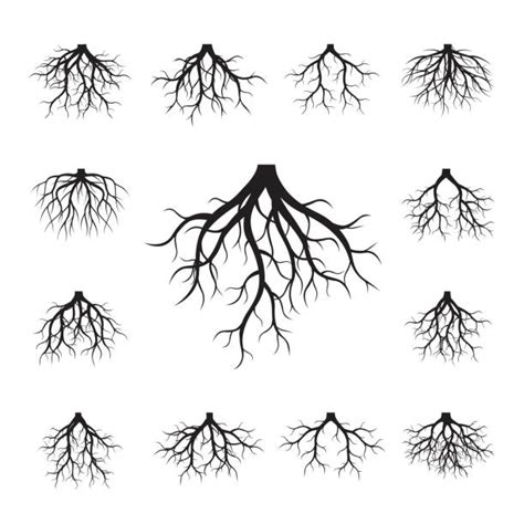 6300 Tree Roots Pattern Stock Illustrations Royalty Free Vector