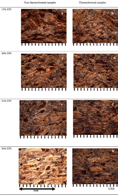 Microstructure Of Samples Observed With Optical Microscope Download