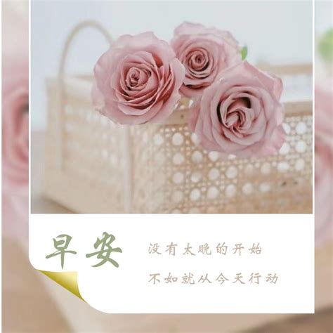 暖心的早安文案，励志正能量 知乎