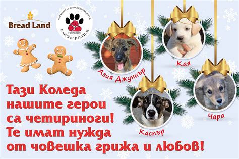 Bread Land ️Този декември с покупката на всяка коледна бисквитка вие